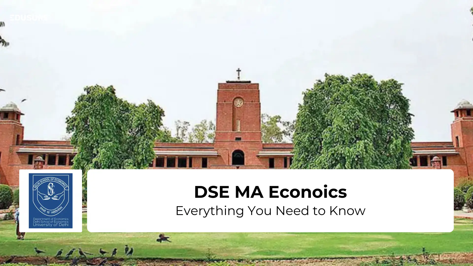 DSE MA Economics: Admission, Eligibility, and Syllabus